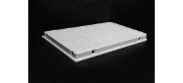 384-well qPCR Plates, 40 μL, White, Skirted, Cut Corners A24 and P24